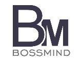 Bossmind | Promo